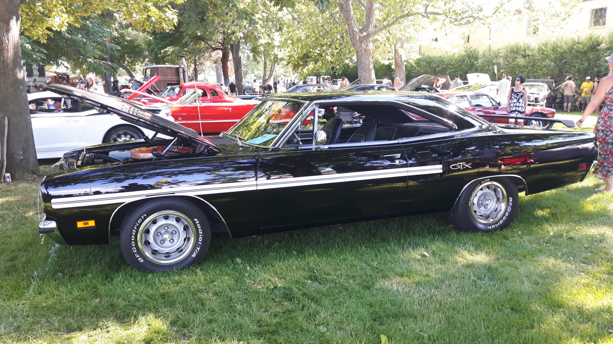 Solve 70 Road Runner jigsaw puzzle online with 220 pieces