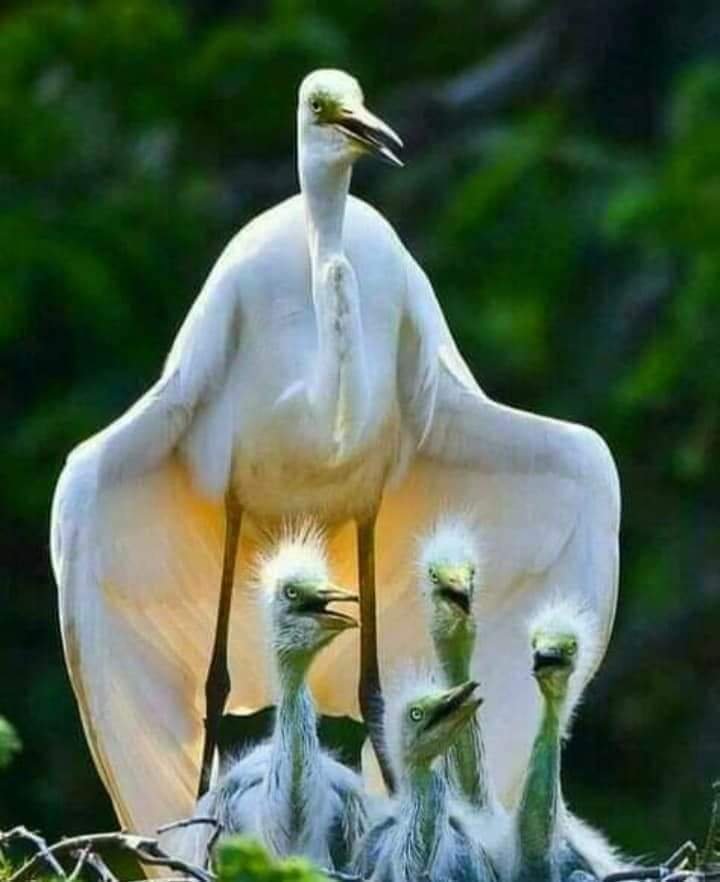 Solve Protection jigsaw puzzle online with 30 pieces