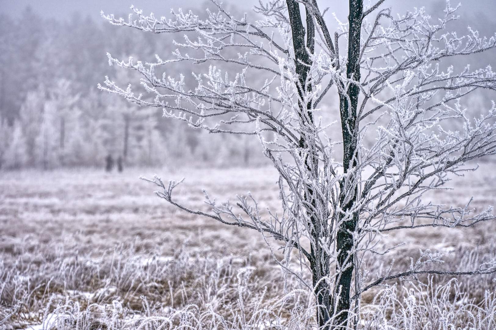 Solve Wisconsin Winter jigsaw puzzle online with 117 pieces