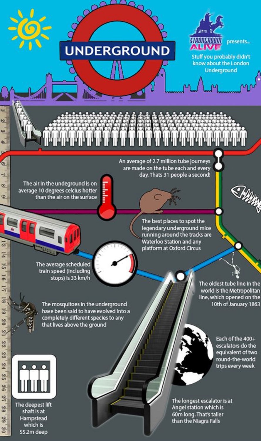 Solve underground (6) jigsaw puzzle online with 170 pieces