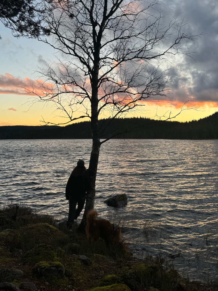 Solve Air jigsaw puzzle online with 20 pieces