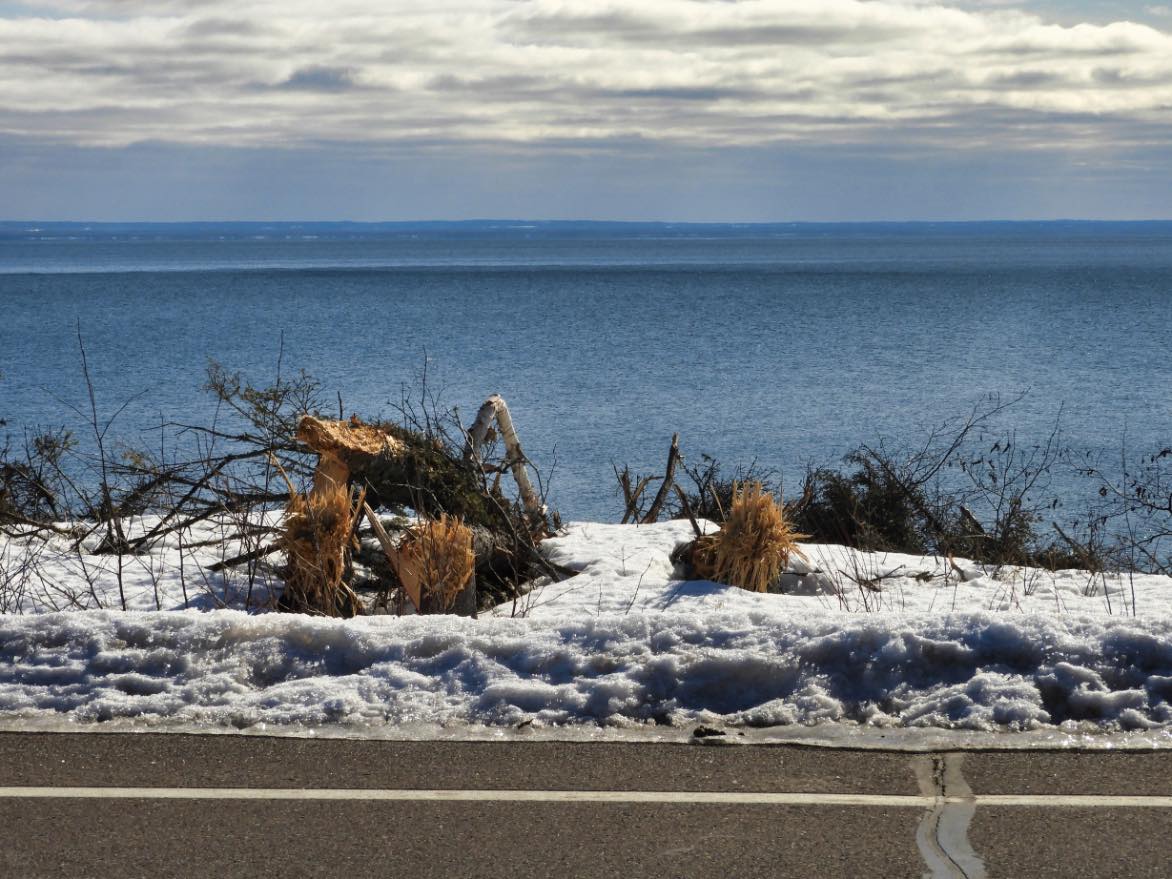 Solve Wind damage? jigsaw puzzle online with 20 pieces