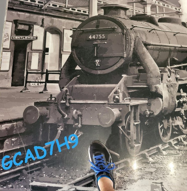 Solve Smartie Top catches train jigsaw puzzle online with 121 pieces