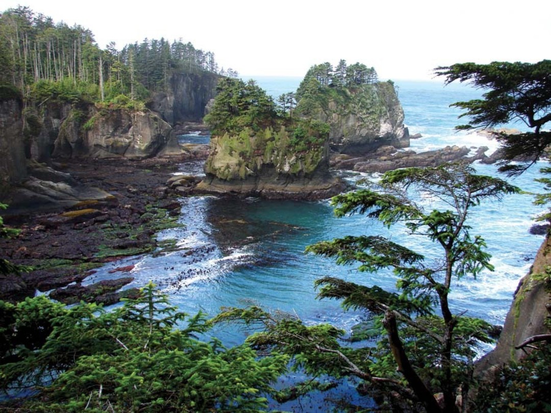 Solve Cape Flattery Sea Stacks on the Olympic Peninsula of Washington ...