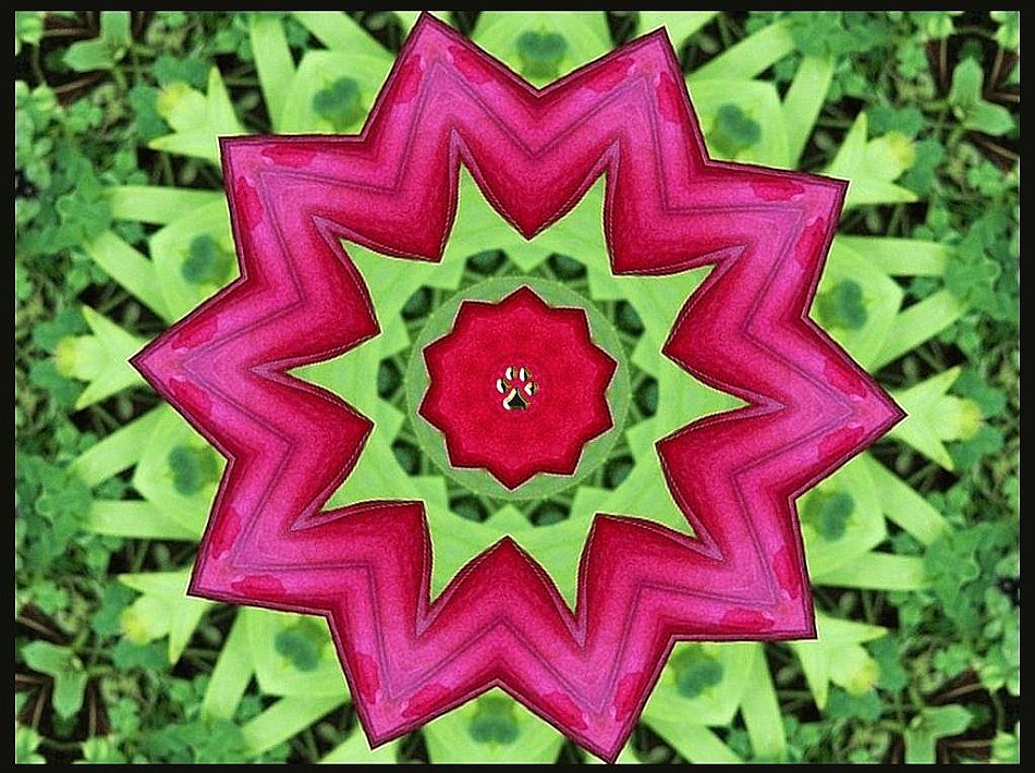 Solve flower power 02 jigsaw puzzle online with 20 pieces