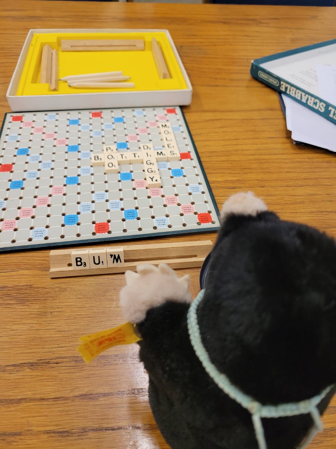 Solve Diggy plays Scrabble jigsaw puzzle online with 88 pieces
