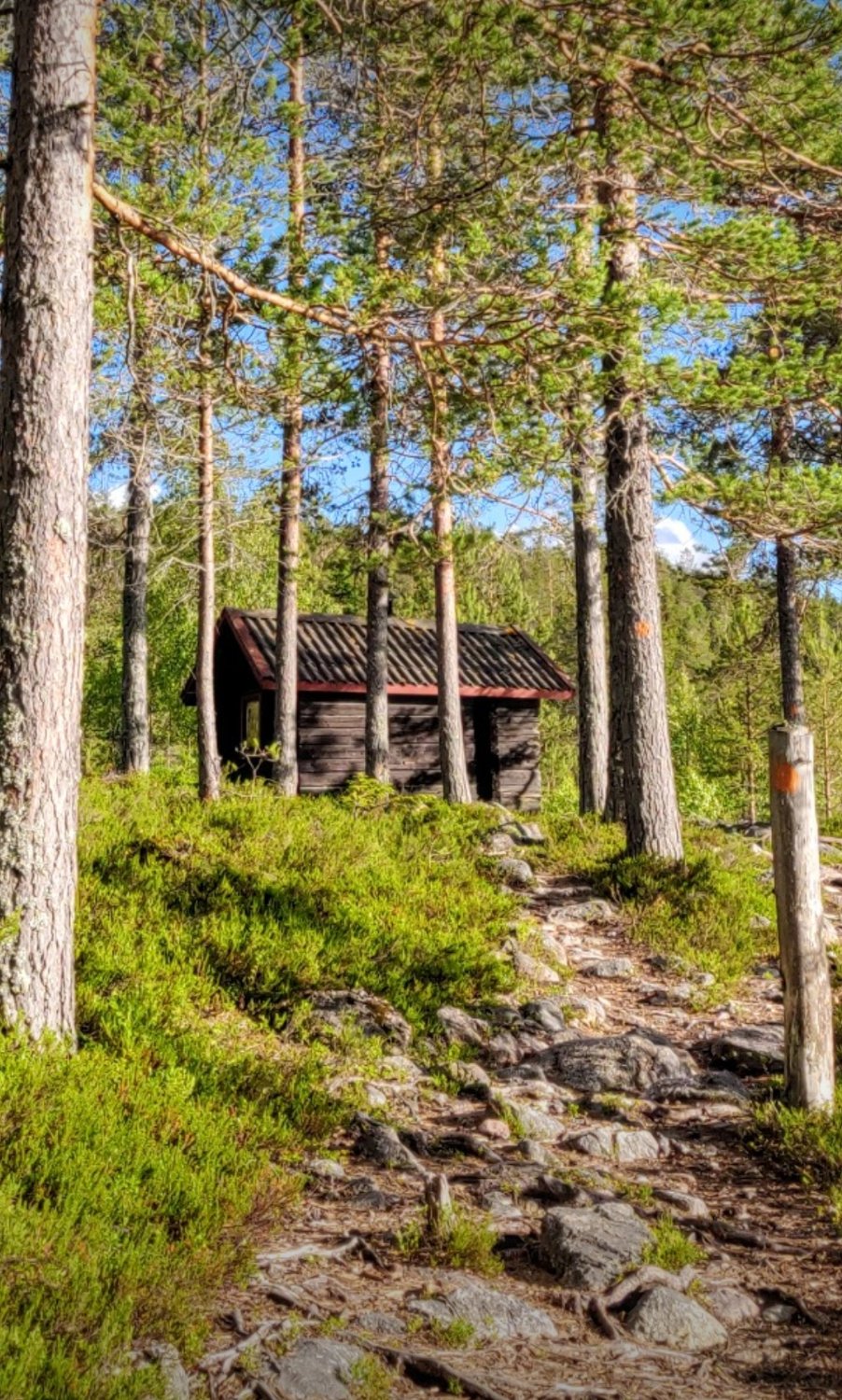 Solve Cabin jigsaw puzzle online with 209 pieces