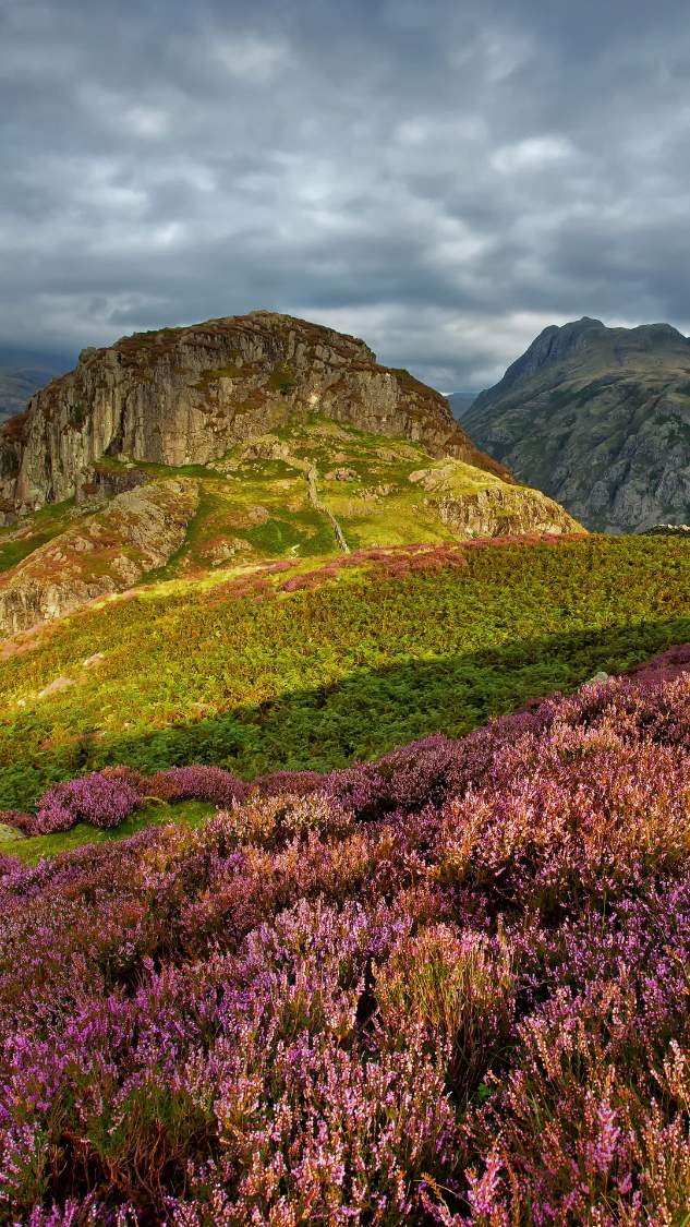 Solve Lingmoor Fell (Side Pike) with Langdale Pikes behind, Lake ...