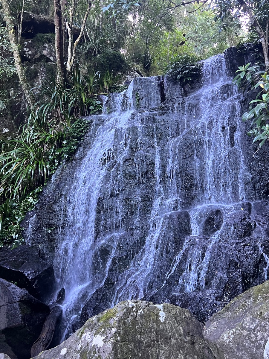 Solve Selva Falls - Border Ranges National jigsaw puzzle online with 30 ...