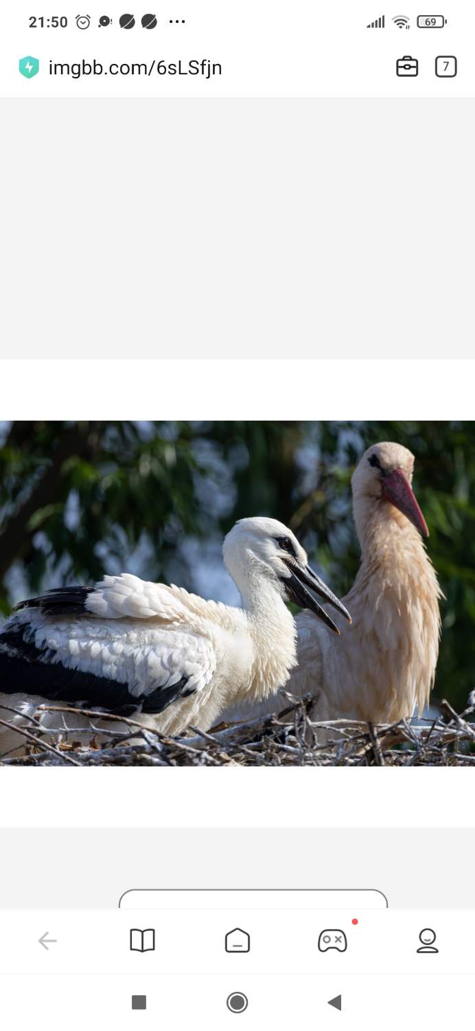 Solve Screenshot_2023-06-12-21-50-52-554_com.mi.globalbrowser jigsaw ...