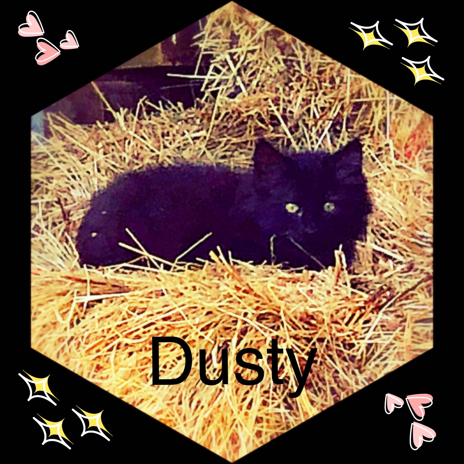 Solve IMG_1195 Dusty jigsaw puzzle online with 81 pieces