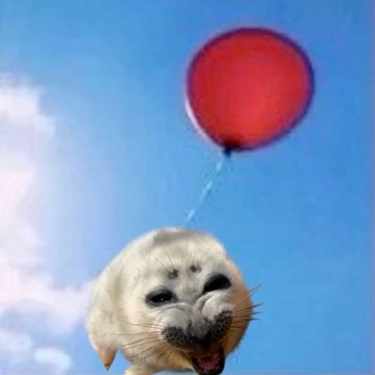 Solve seal jigsaw puzzle online with 9 pieces