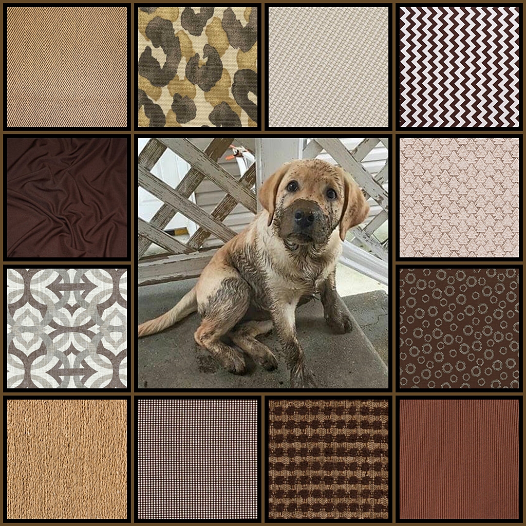 Solve mud puddle? what mud puddle? jigsaw puzzle online with 144 pieces