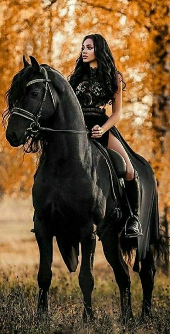 Solve black horse in Autumn jigsaw puzzle online with 45 pieces