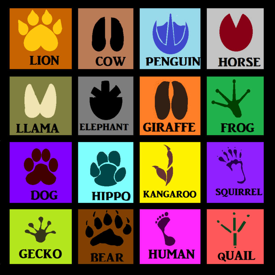 Solve Animal Tracks jigsaw puzzle online with 81 pieces