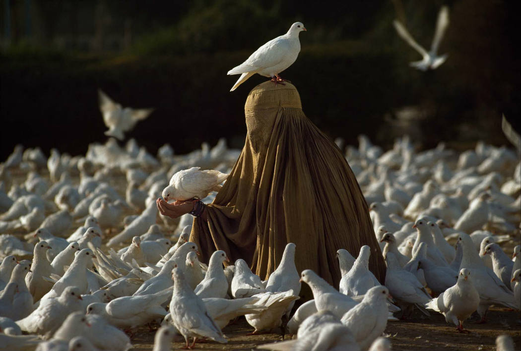 Solve All Creatures Great and Small, Mazar-e-Sharif, Afghanistan jigsaw ...