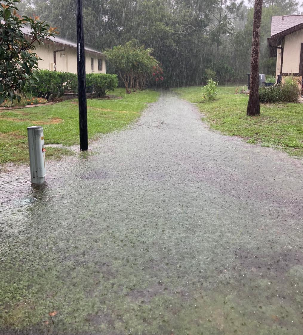 Solve A little rain yesterday. jigsaw puzzle online with 72 pieces