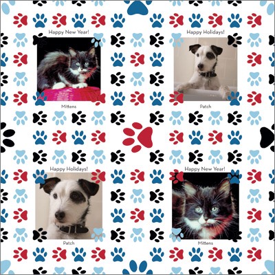 Solve Animals and their paw prints jigsaw puzzle online with 36 pieces