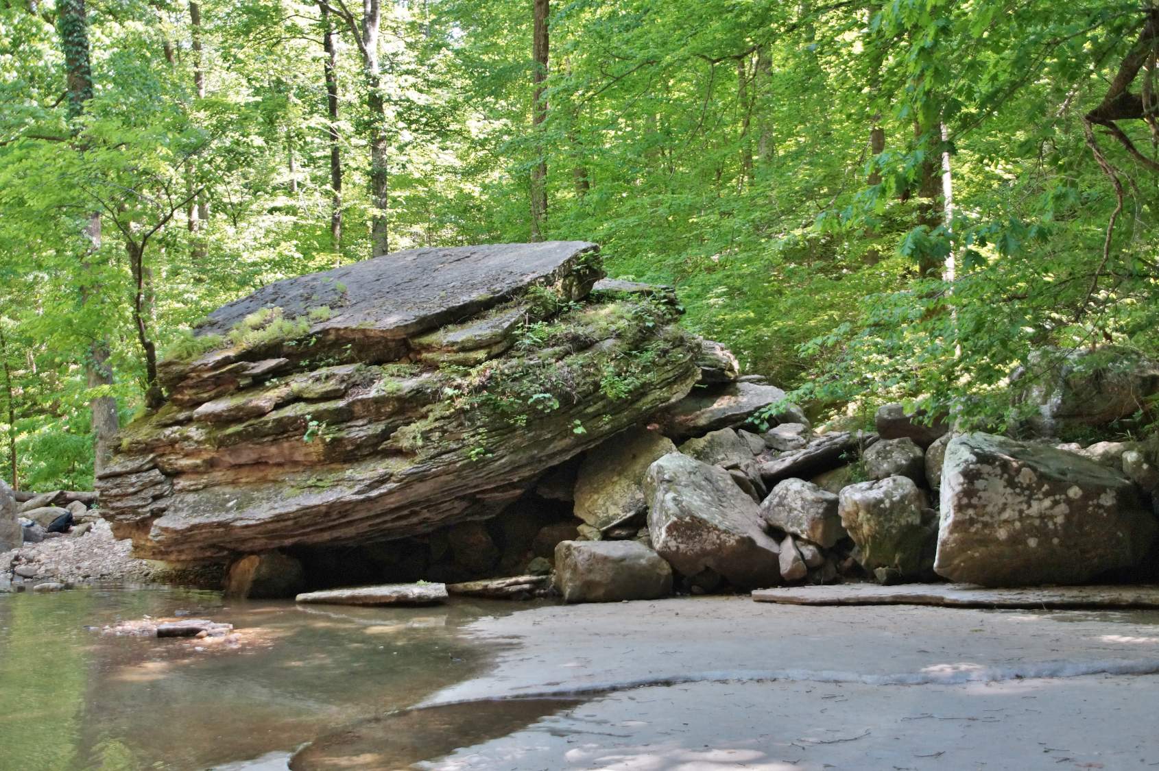 Solve Biscuit jigsaw puzzle online with 126 pieces