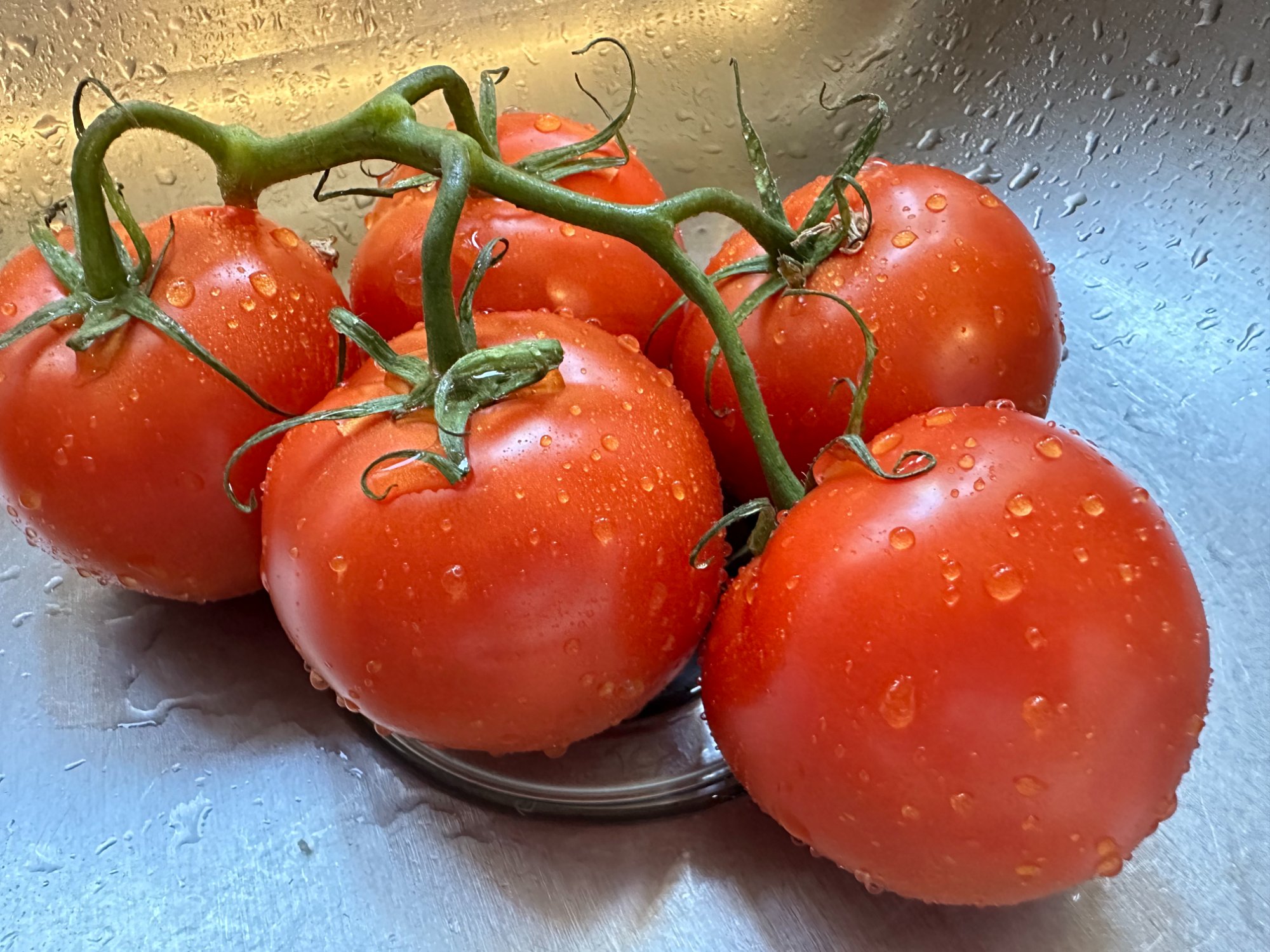 Solve Fresh tomatoes jigsaw puzzle online with 99 pieces