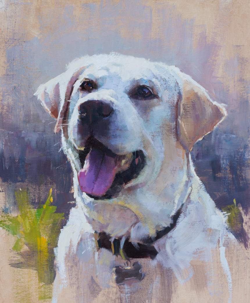 Solve 'Murphy' jigsaw puzzle online with 20 pieces