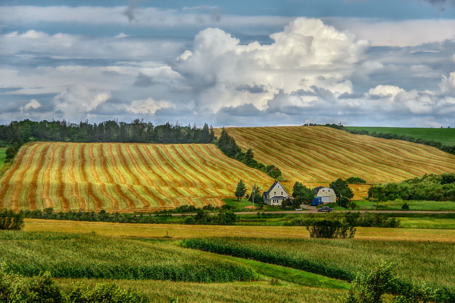 Jigsaw Puzzle | 24 pieces | Rolling Fields at French River | Jigidi
