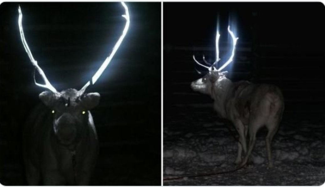 Solve Glow-in-the-dark Reindeer jigsaw puzzle online with 40 pieces