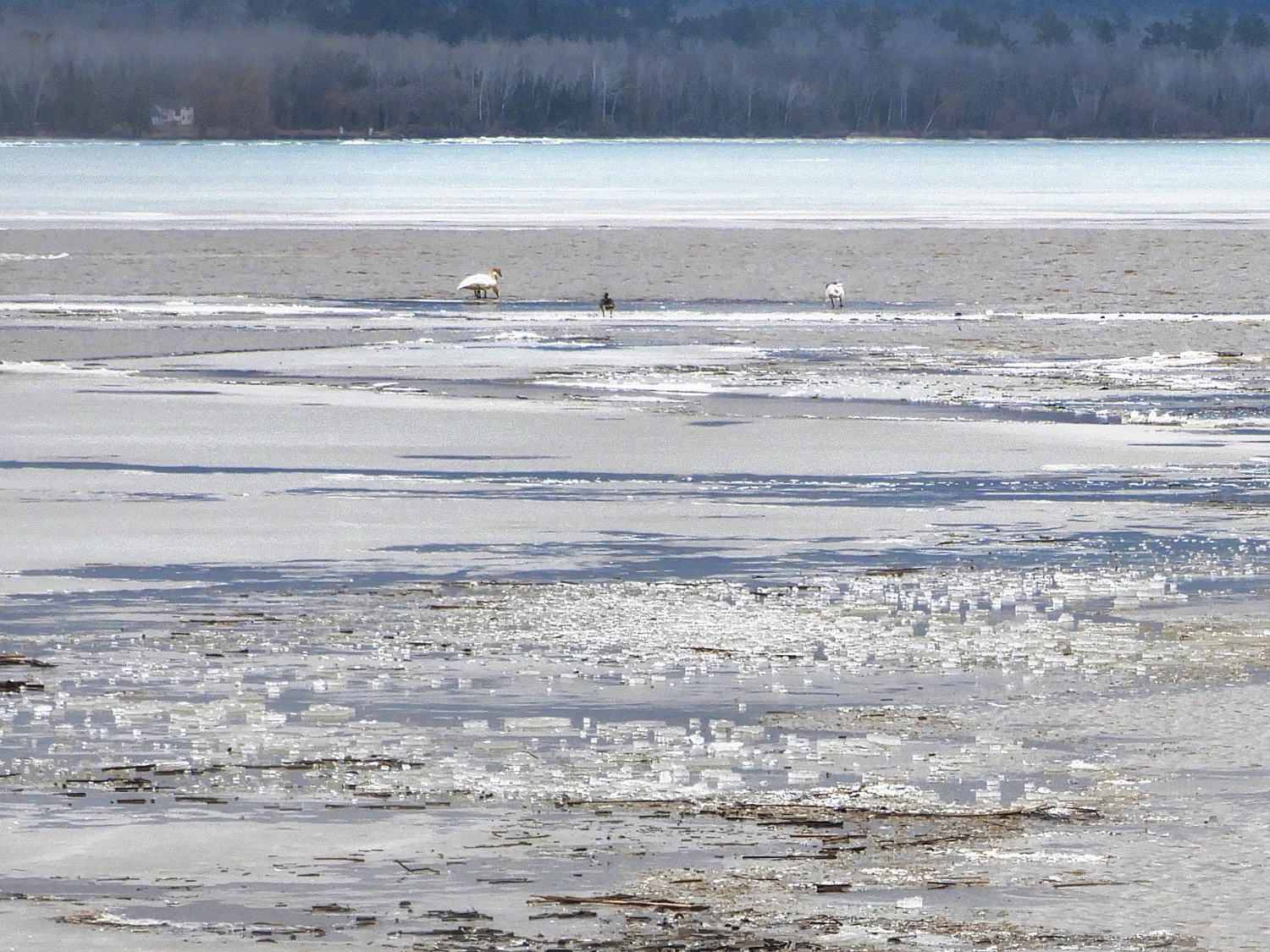Jigsaw Puzzle | 20 pieces | Tiny ice cubes on Lake Superior | Jigidi