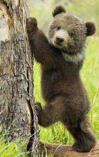 Jigsaw Puzzle | 40 pieces | SO CUTE!! | Jigidi