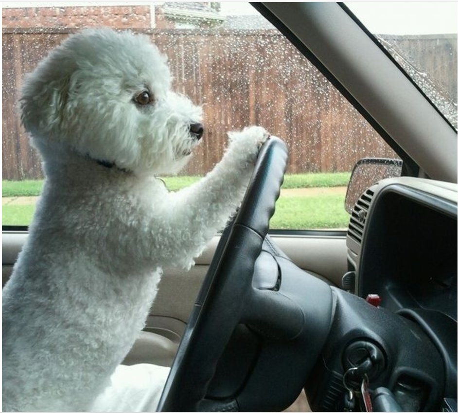 Solve Hang on, Papa, We're Takin' a Ride! jigsaw puzzle online with 16 pieces