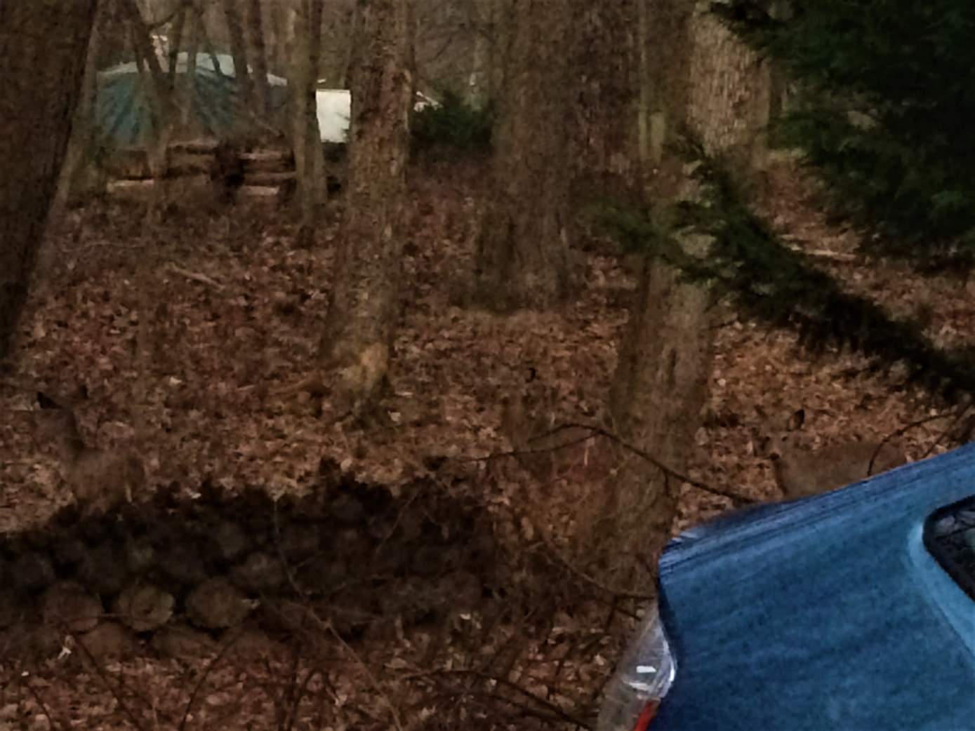 Solve Perfect blend jigsaw puzzle online with 35 pieces