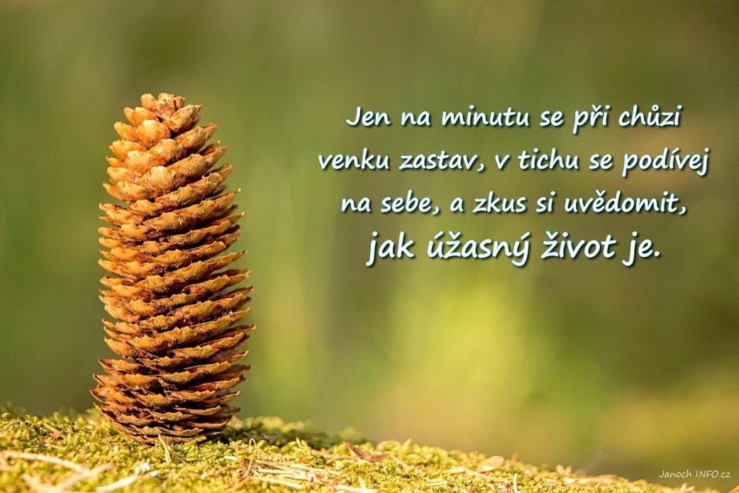 Solve zivot_je jigsaw puzzle online with 96 pieces