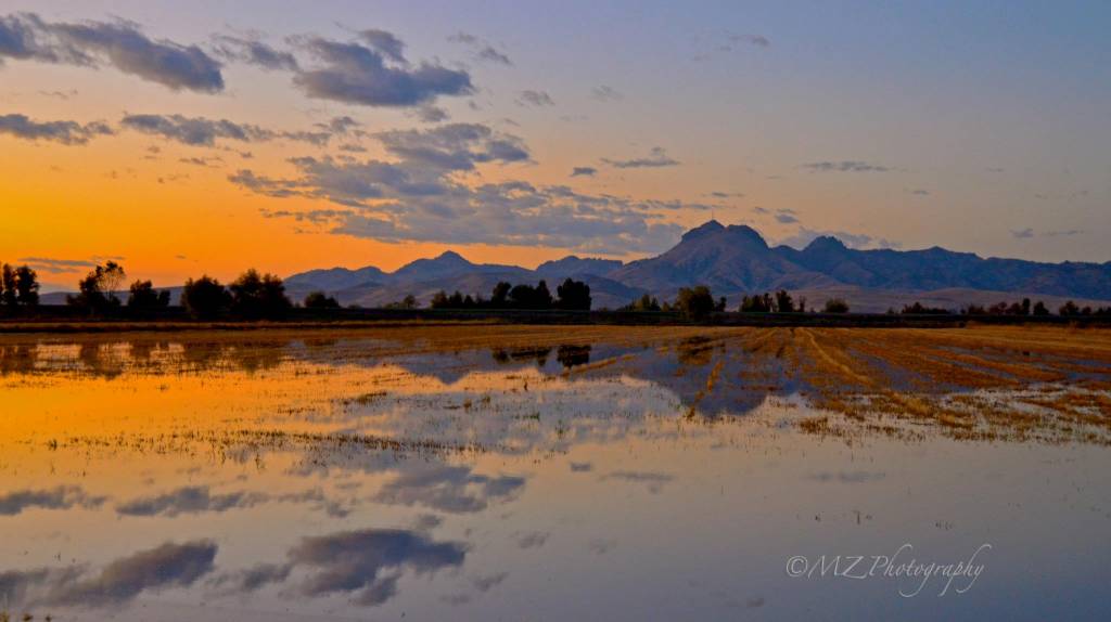 Solve Sutter Buttes and flooded rice fields by MZ Photography jigsaw ...