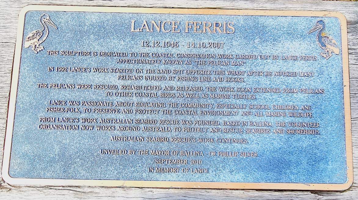 Solve The Pelican Man jigsaw puzzle online with 15 pieces