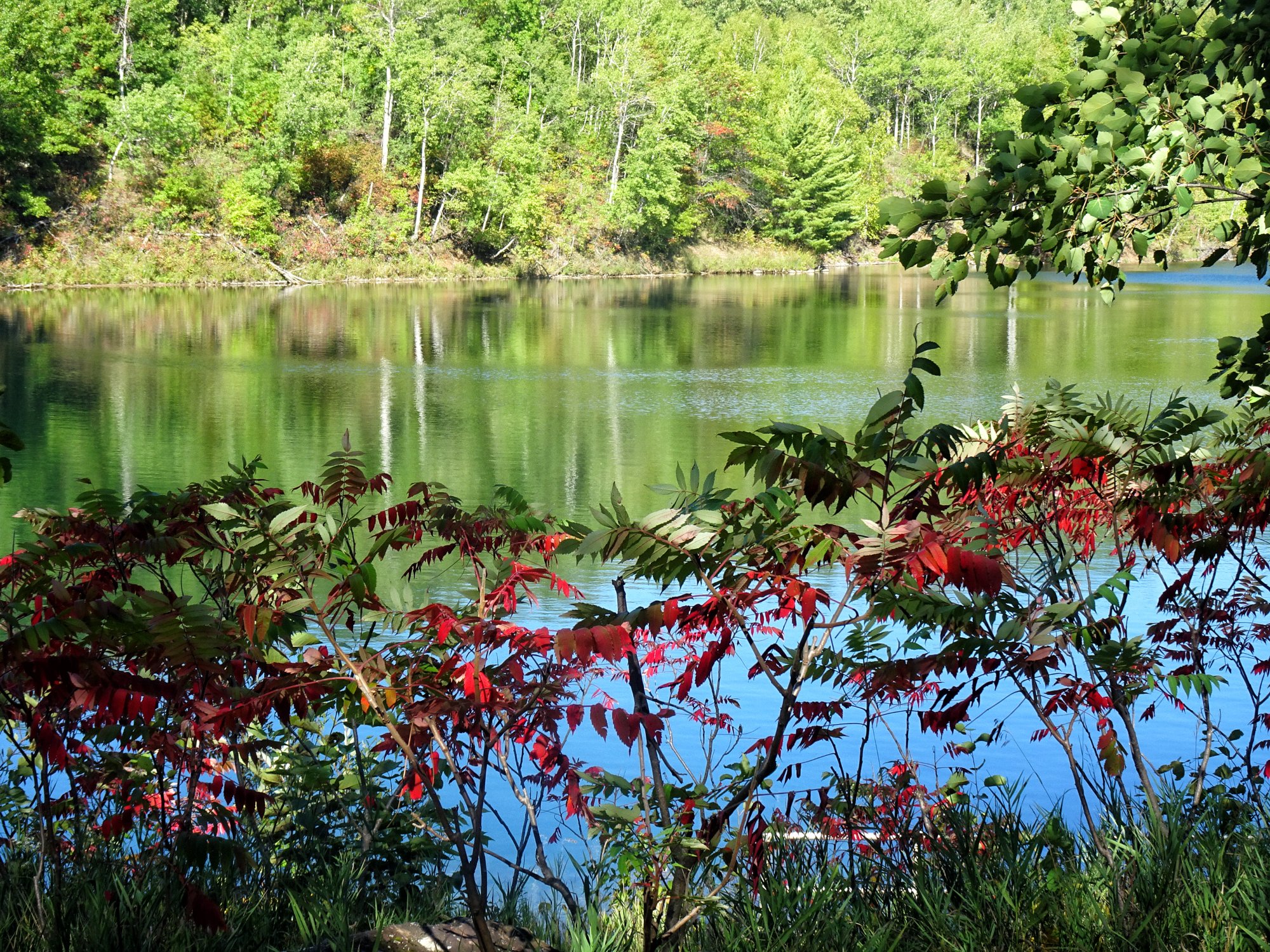 Solve Brainerd MN - Mining Pit Lake with Sumac jigsaw puzzle online ...