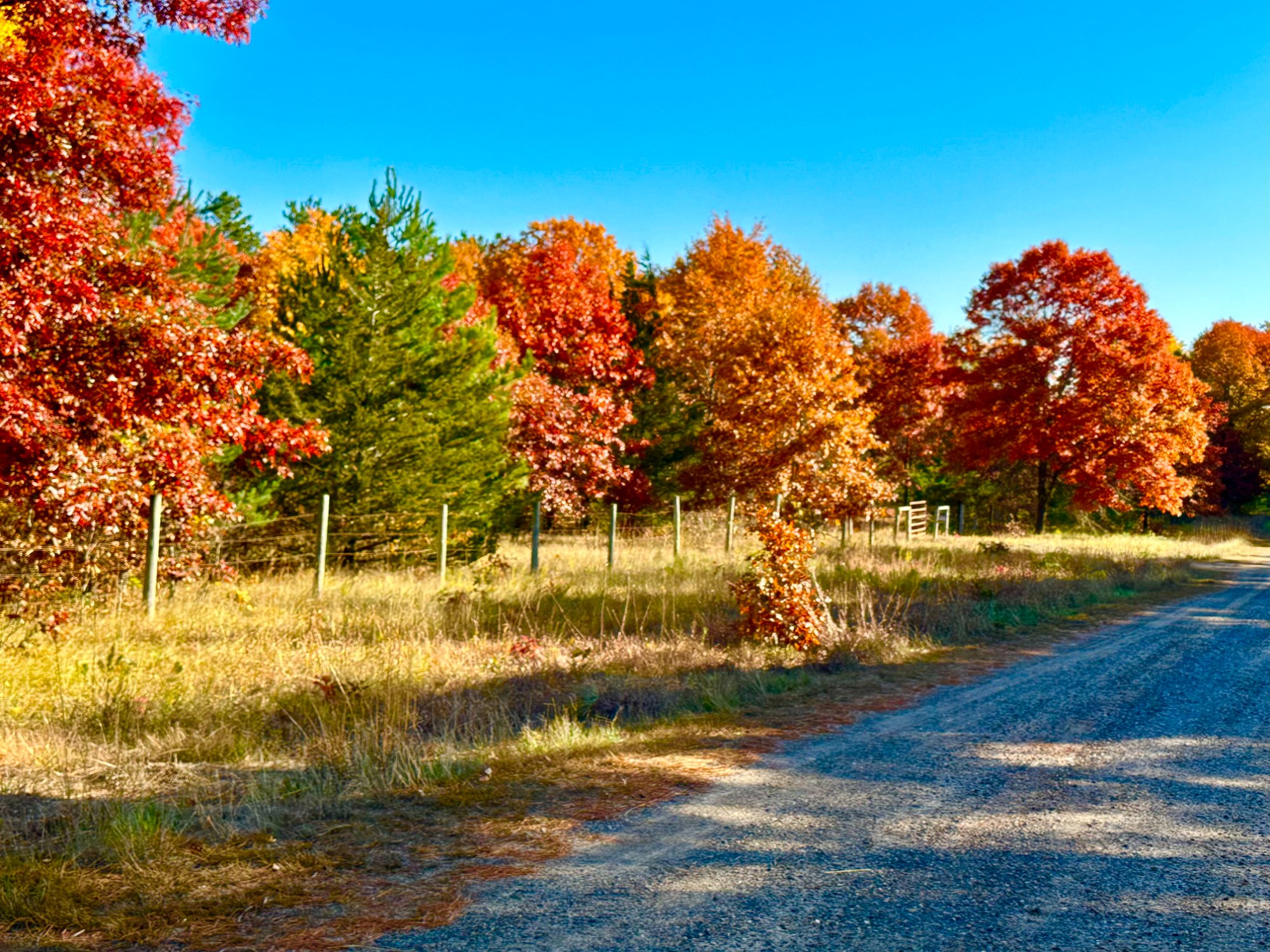 Solve Peak colors in Minnesota (3) jigsaw puzzle online with 108 pieces