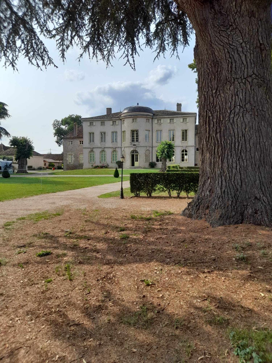 Solve 81 jigsaw puzzle online with 88 pieces