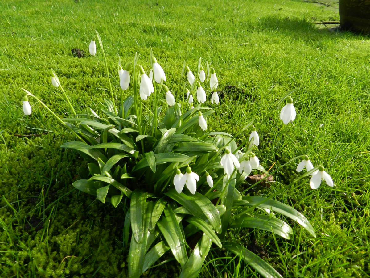 Solve finally a sunny day! jigsaw puzzle online with 63 pieces