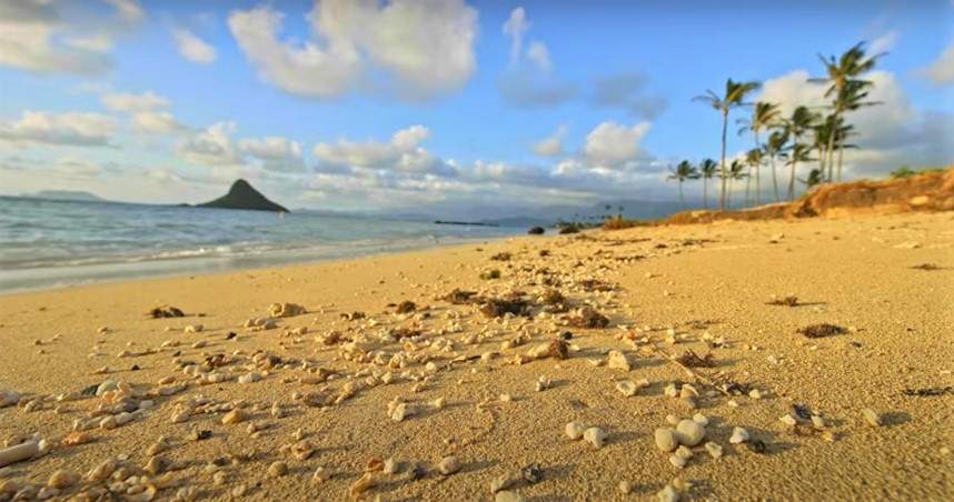 Solve Natural Beach, Oahu, Hawaii jigsaw puzzle online with 112 pieces