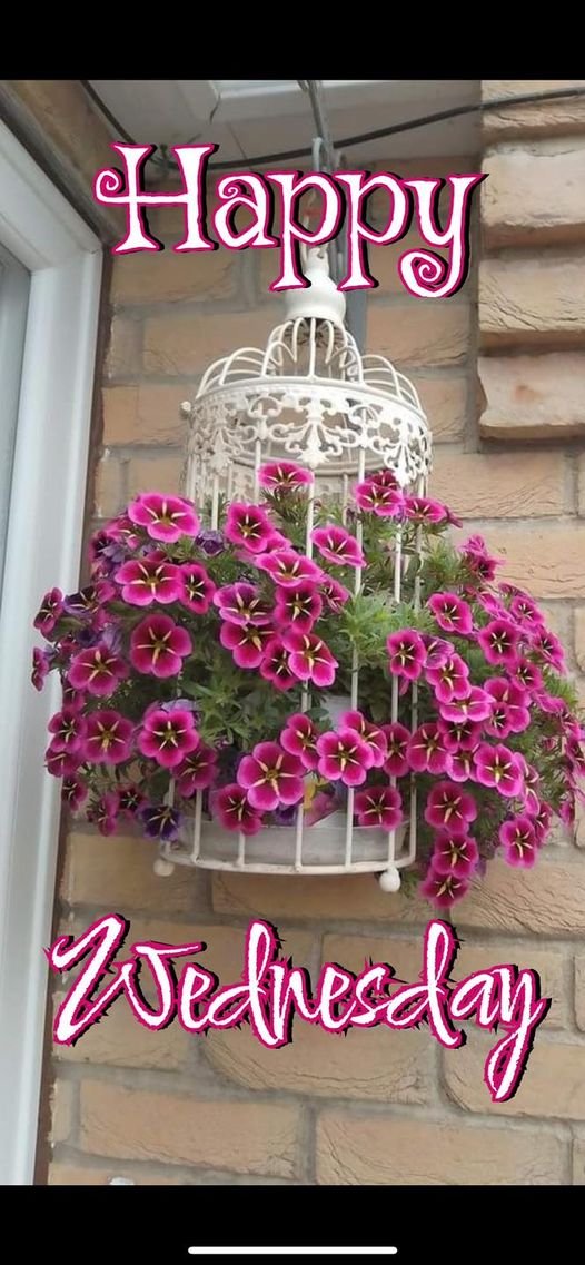 Solve Good Morning - Happy Wednesday! jigsaw puzzle online with 72 pieces