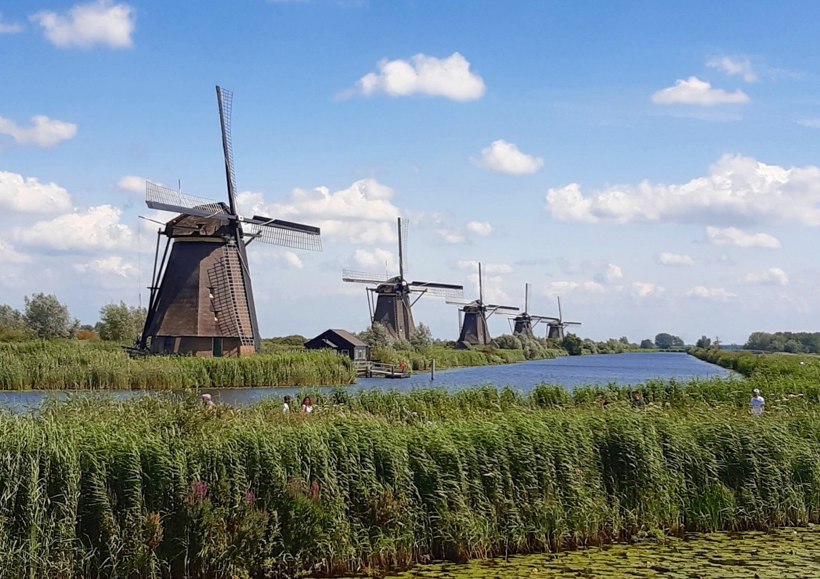 Solve Windmills Kinderdijk jigsaw puzzle online with 48 pieces