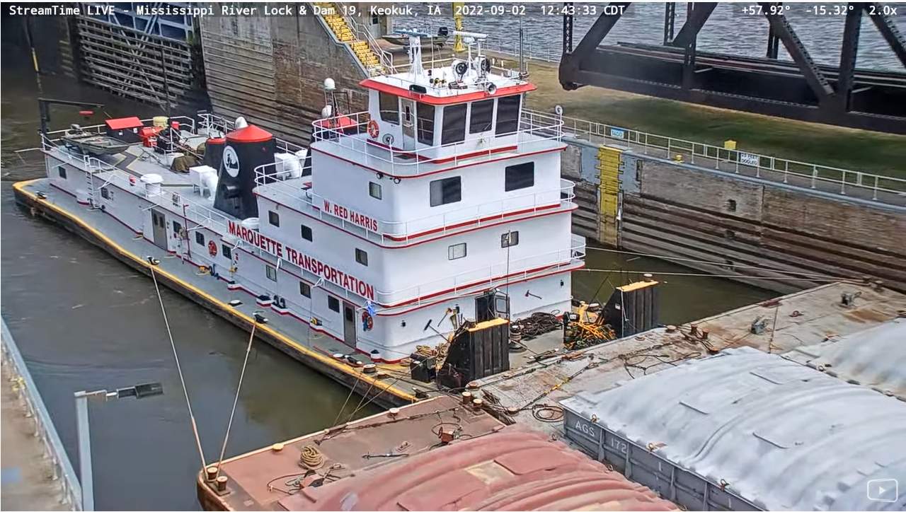 Solve W Red Harris 9.2.2022 jigsaw puzzle online with 66 pieces