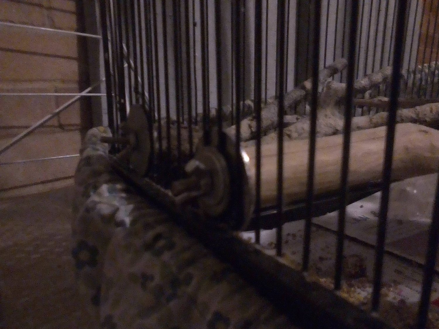 Solve Fixing jigsaw puzzle online with 12 pieces