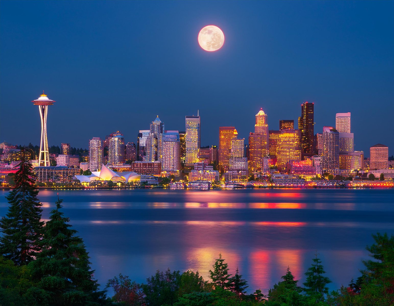 Solve Seattle Skyline jigsaw puzzle online with 48 pieces