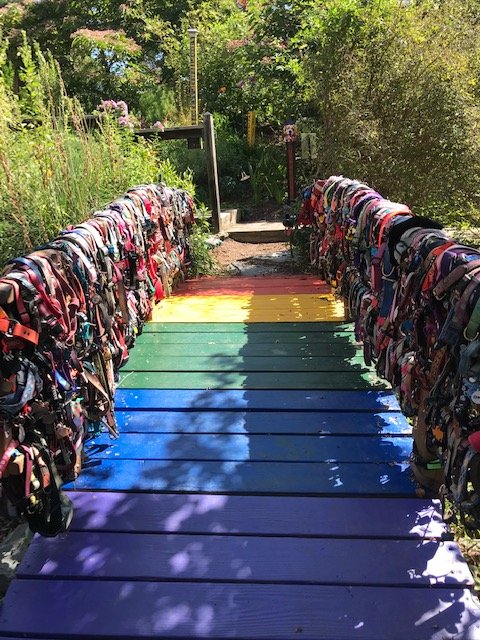 Solve The Rainbow Bridge -- Lake Lure Flowering Bridge jigsaw puzzle ...