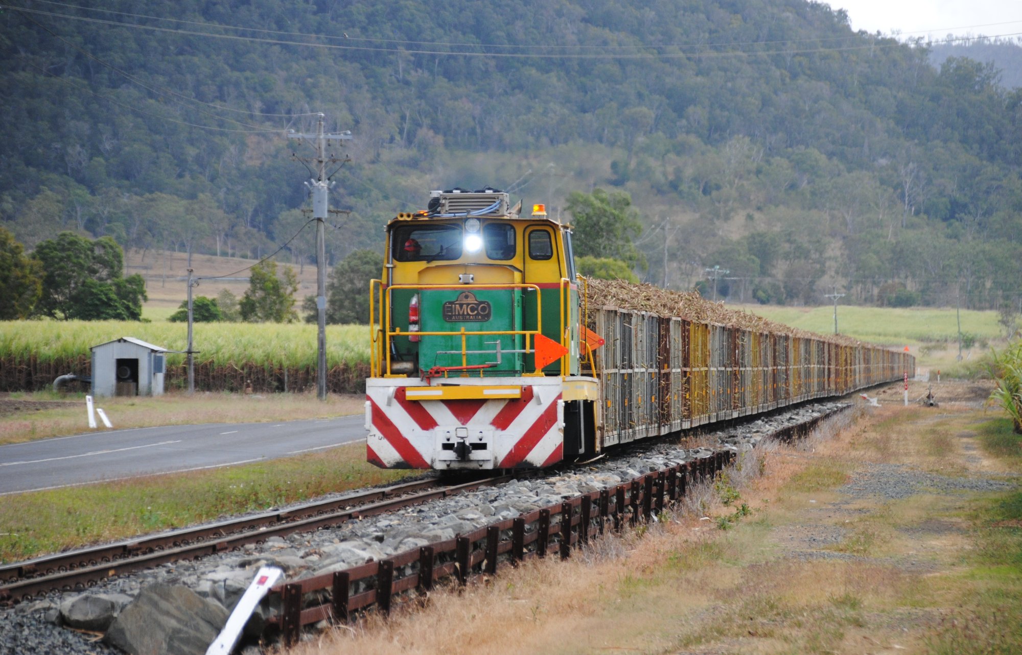 Solve Bringing the cane to Marian Mill jigsaw puzzle online with 176 pieces