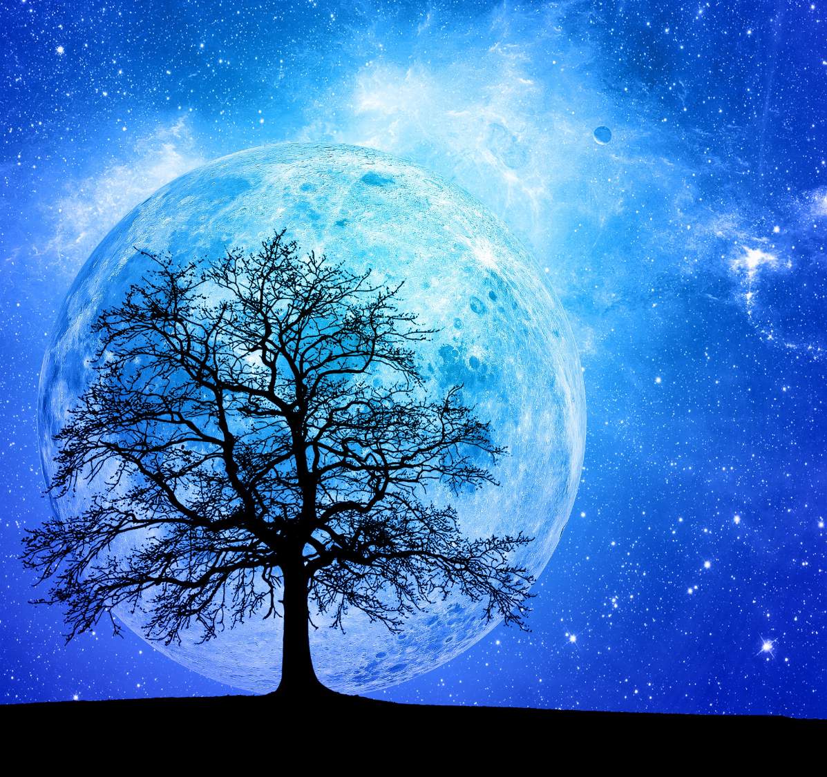 Solve Blue moon tree jigsaw puzzle online with 90 pieces