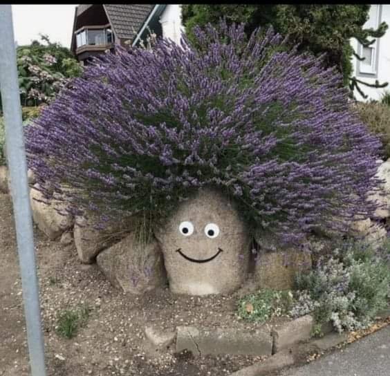 Jigsaw Puzzle | Bad hair day ? | 16 pieces | Jigidi