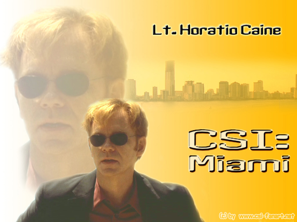 Solve Horatio Caine CSI MIAMI jigsaw puzzle online with 300 pieces