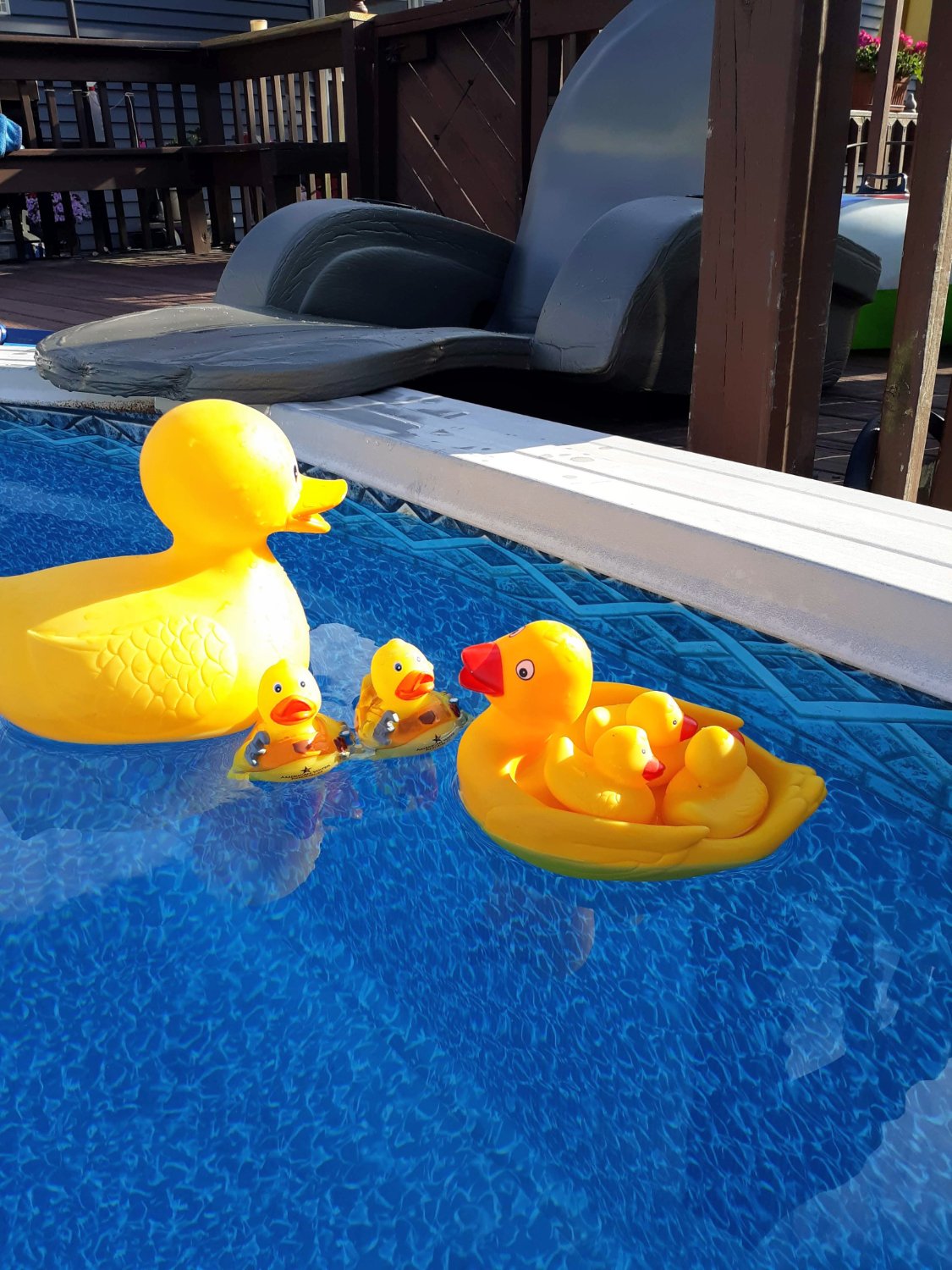 Solve Rubber Ducky, Your the One jigsaw puzzle online with 130 pieces